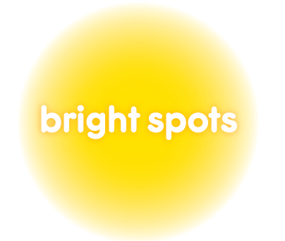 Exploring Expertise: How does the Bright Spots Programme help local authorities to listen to the ...